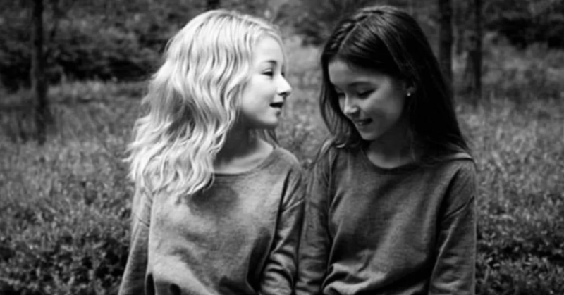 Optical Challenge: 10 Second Challenge To Discover Hidden Faces