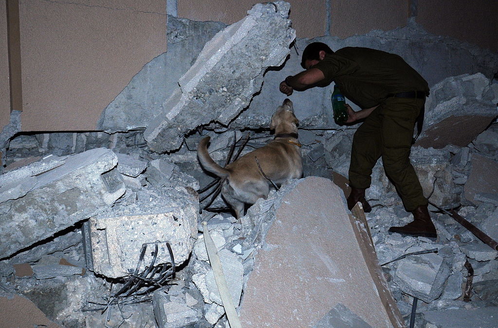 Army Dog Kent Dies Protecting Handler In J&K Encounter