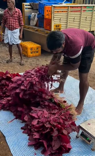 Kerala Farmer Takes His Audi A4 To Sell Vegetables On Roadside