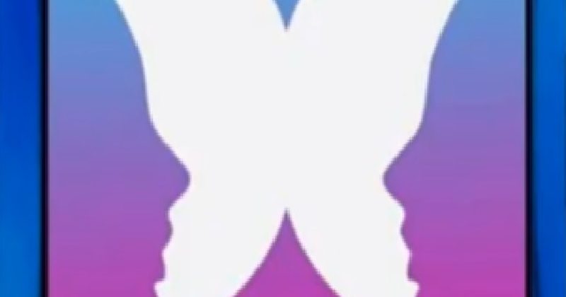 Optical Illusion Personality Test Will Reveal If You're Introverted Or ...