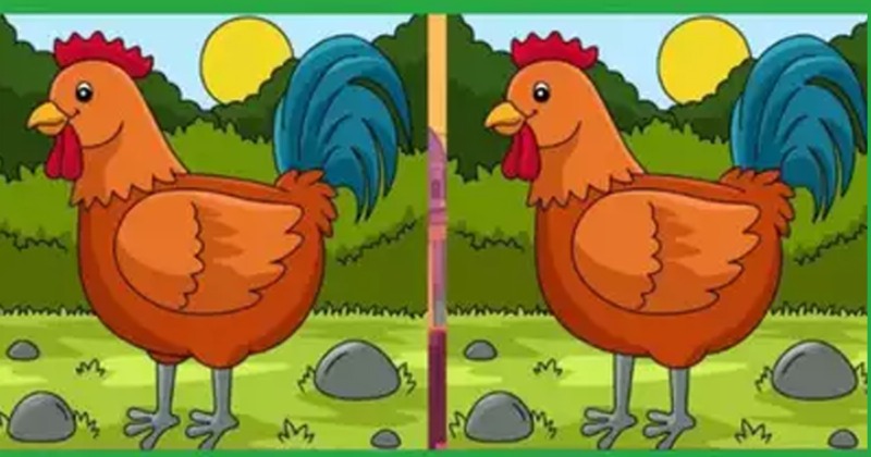 IQ Test: Spot THREE Differences In 15 Seconds!