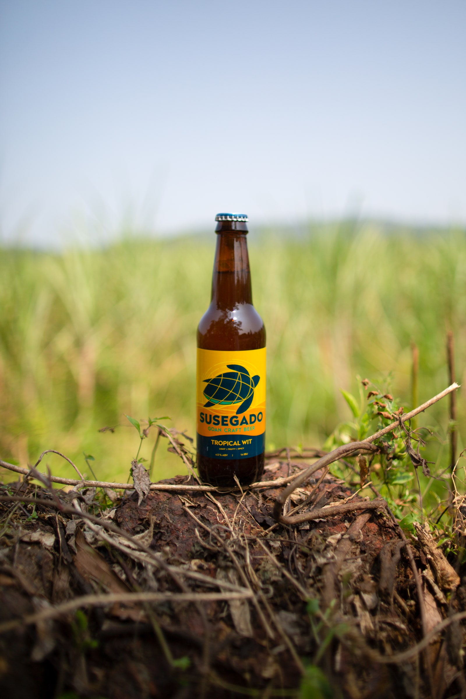 These Are 9 Of The Best Beer Brands In India!