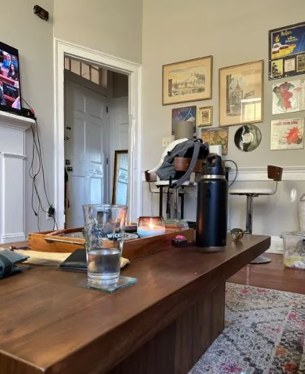 Find The Cat Hiding In This Living Room In 10 Seconds With Optical Illusion