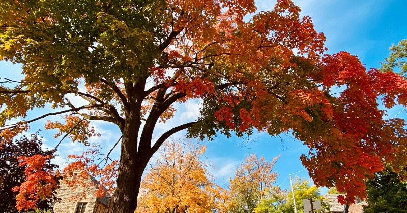 Travel Tip: Visit These Countries In October To Witness The Best Of Fall