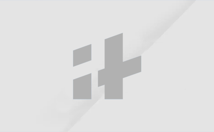 Disabled Cow Gets Prosthetic Leg