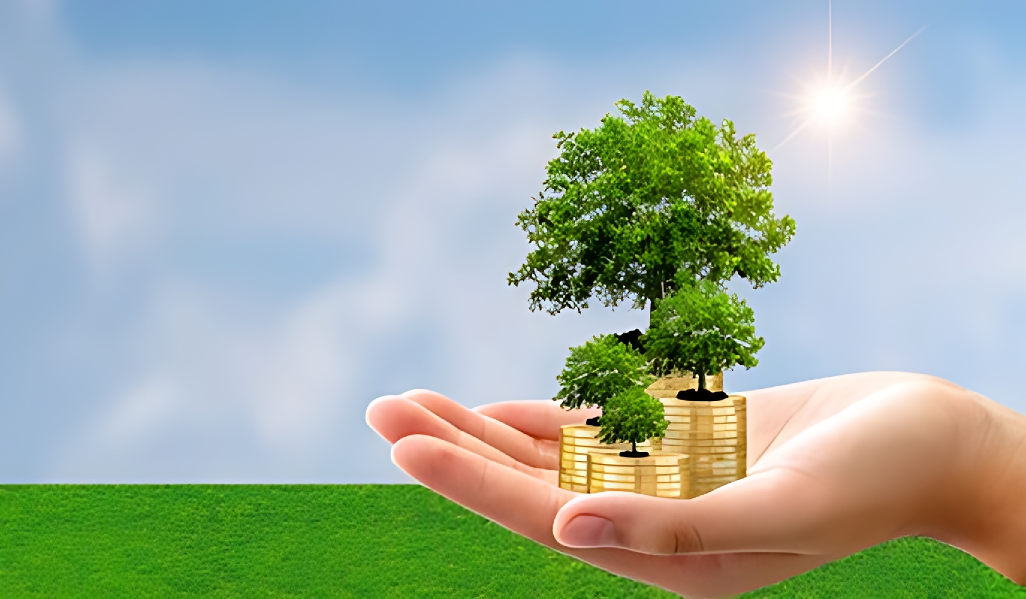 Opinion: Can Green Credit Programme Change Behaviors Towards A ...