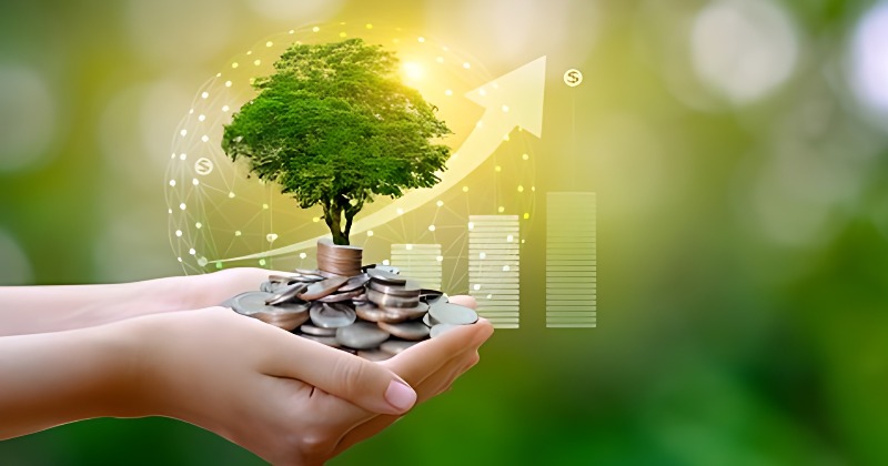 COP28: What Is Green Credits Scheme And How It Can Help Fight Climate ...