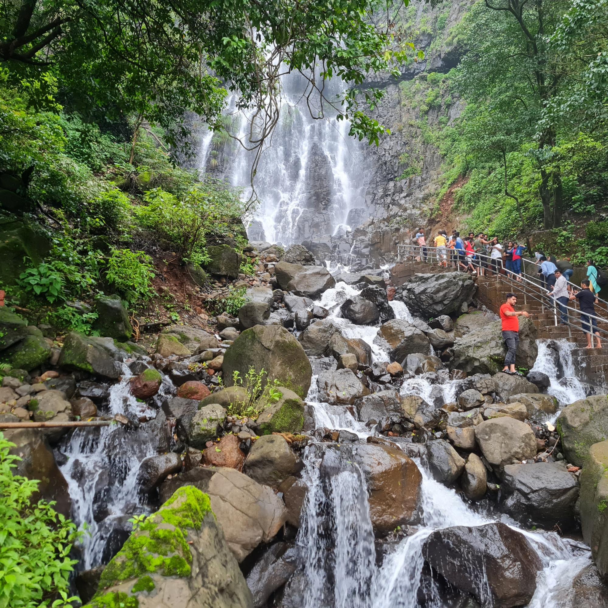 Amboli: Of Waterfalls & Wildlife...