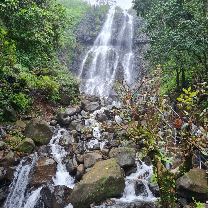 Amboli: Of Waterfalls & Wildlife...