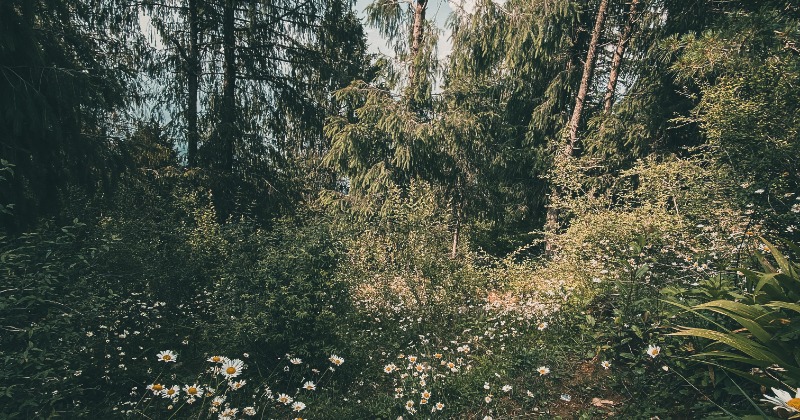 Picture Perfect Hill Stations To Visit This Autumn