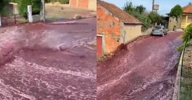 Town In Portugal Flooded By 2 Million Litres Of Red Wine