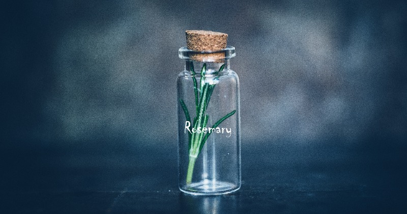 What's The Hype Around Rosemary?