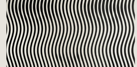 Spot The Lady In This Optical Illusion