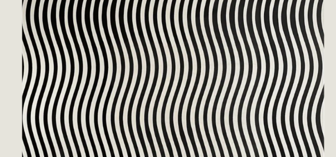 Spot The Lady In This Optical Illusion