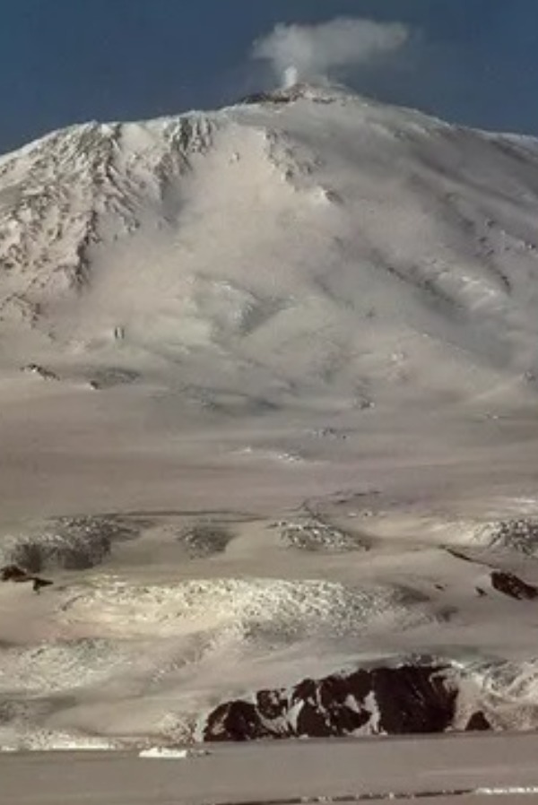 Trending and viral stories on environment