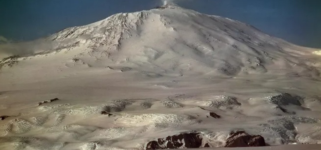 Trending and viral stories on environment