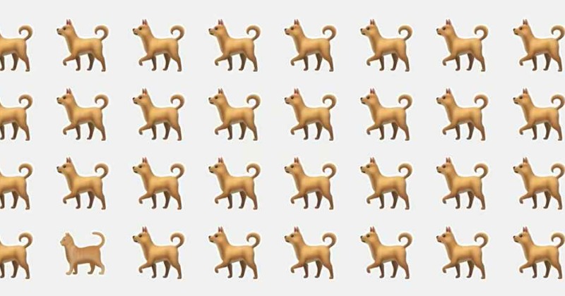 Only Sharp Eyes Can Spot The Cat Among The Dogs In 5 Seconds