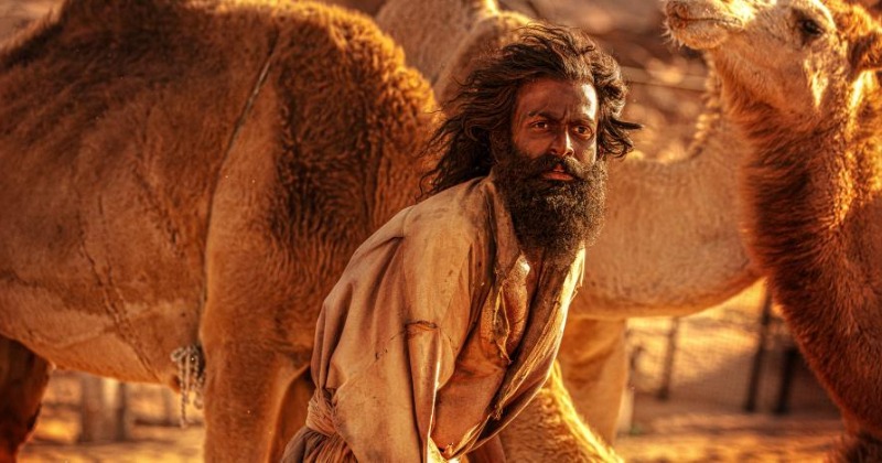 Prithviraj Sukumaran Starrer Aadujeevitham - The Goat Life Box Office ... Prithviraj Sukumaran Starrer Aadujeevitham - The Goat Life Box Office ...