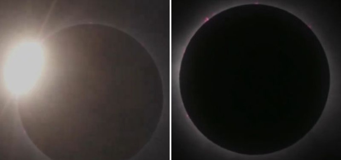 Trending and viral stories on environment