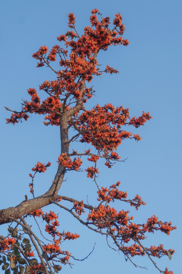 11 Best Christopher Nolan Movies Every Movie Fanatic Should Watch