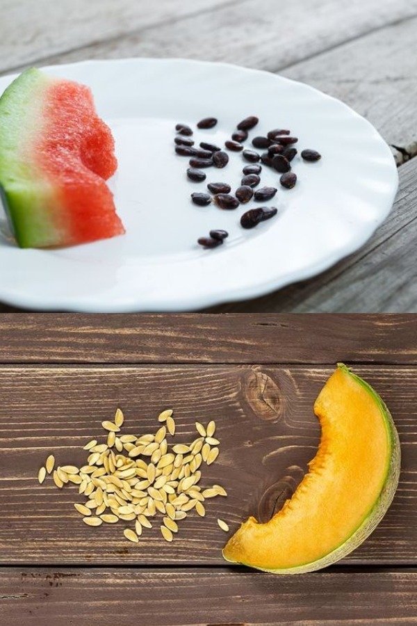 Learn about healthy living and how it will enrich your life ...