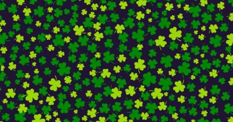 Brain teaser: Find the hidden four-leaf clover in this image