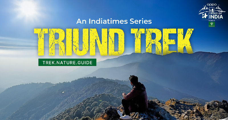 Triund Trek 2024 | Mcleodganj | Treks Of India EP 3