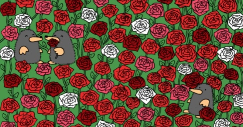 Optical Illusion: Spot The Three Hidden Hearts Among The Bunch Of Roses
