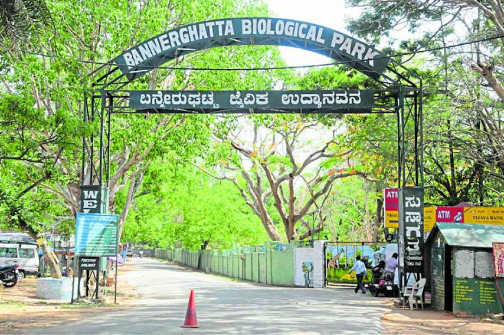 India’s Largest Leopard Safari To Come Up In Bengaluru's Bannerughatta ...