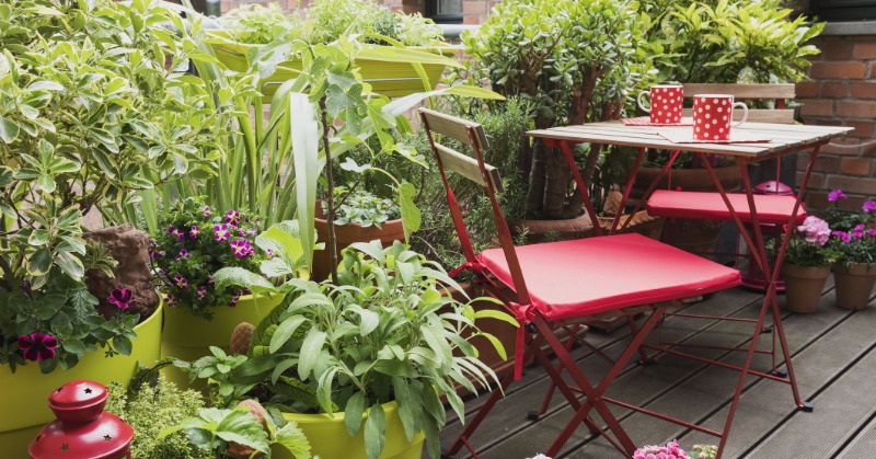 Gardening For Beginners: 17 Easy Tips To Get Started