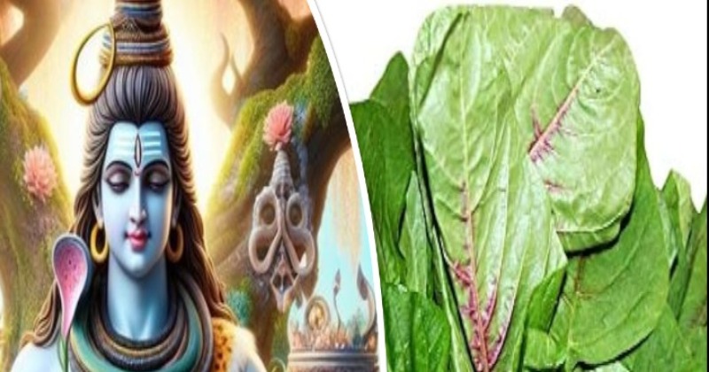 SAWAN में ना खाएं साग, नहीं तो शिव जी हो जाएंगे नाराज