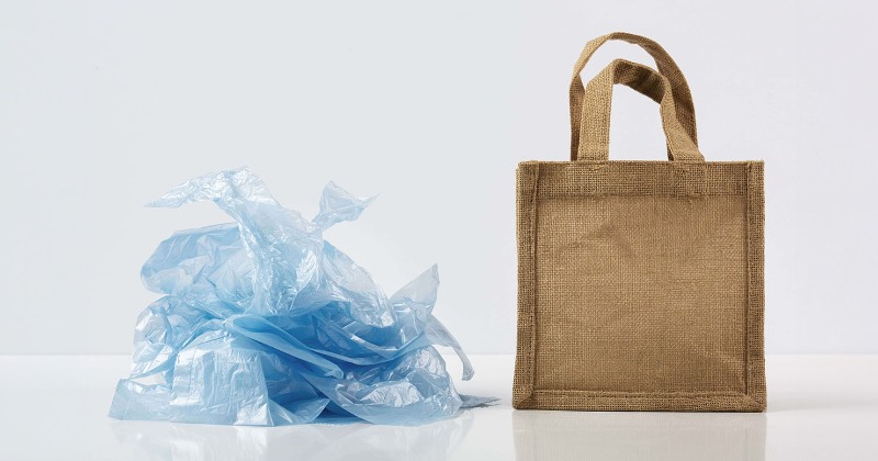 International Plastic Bag Free Day: Replace plastic bags with these 5 ...