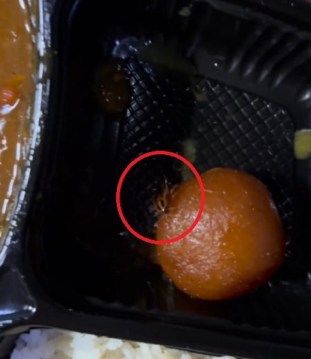 Man orders 'first-ever' meal on train, finds live cockroach inside