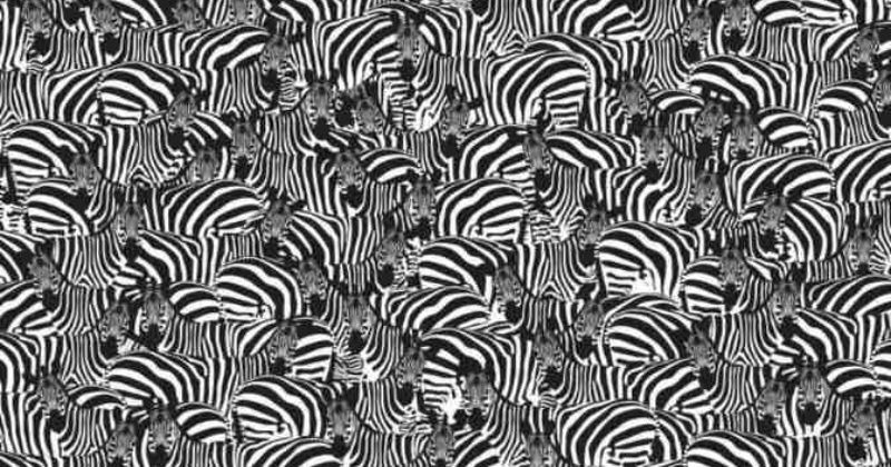 Brain teaser: Find the hidden piano among zebras in 8 seconds