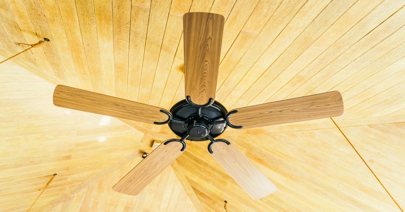 Beat the heat in style: Your guide to modern ceiling fans