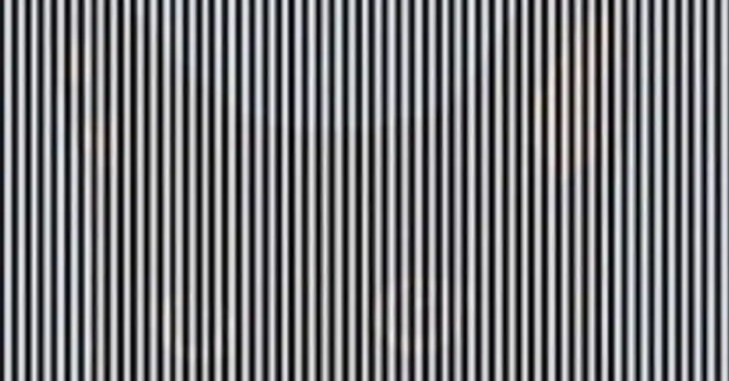 These Straight Lines Hide Animals With High IQ Optical Illusion