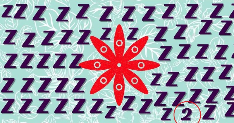 Optical Illusion: Spot The Hidden Number 2 Among Zs