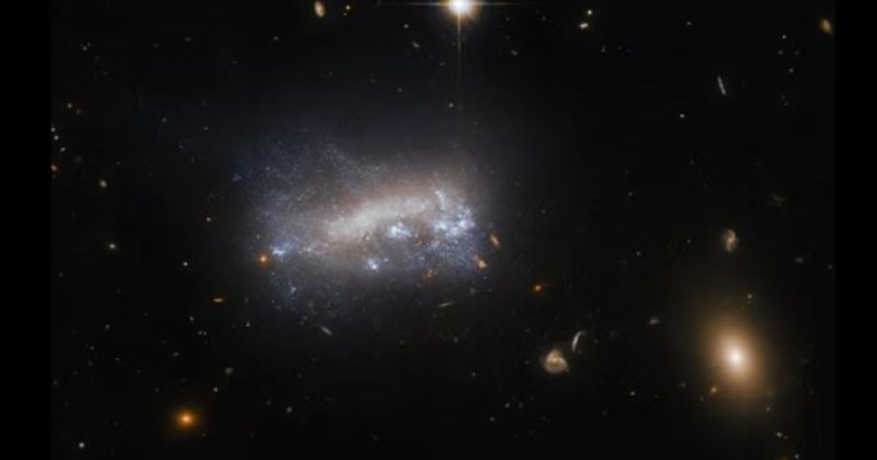 NASA's Hubble Telescope Captures Virgo Galaxy Cluster