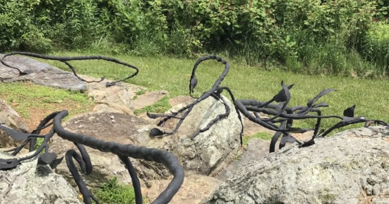 Spotting The Hidden Snake In 7 Seconds Won't Be Easy - Can You Do It?