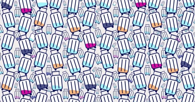 Optical illusion: Spot The 2 Broken Suitcases In 17 Seconds