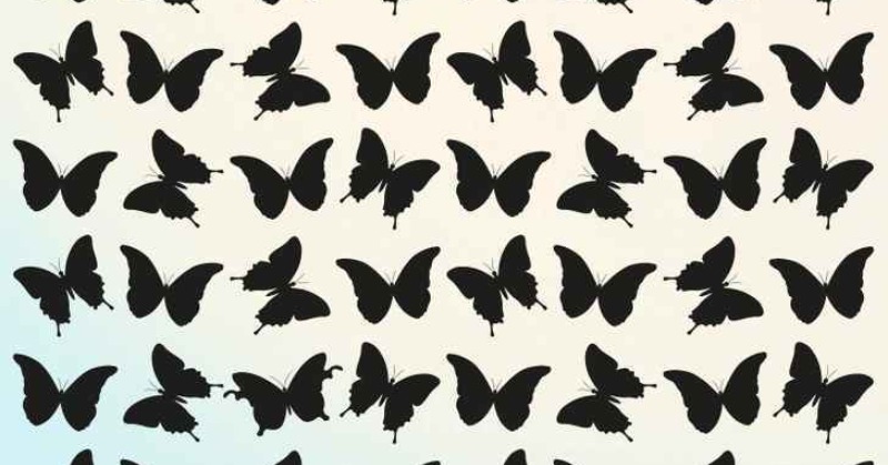 Optical Illusion: Spot The Odd One Out In This Swarm Of Butterflies