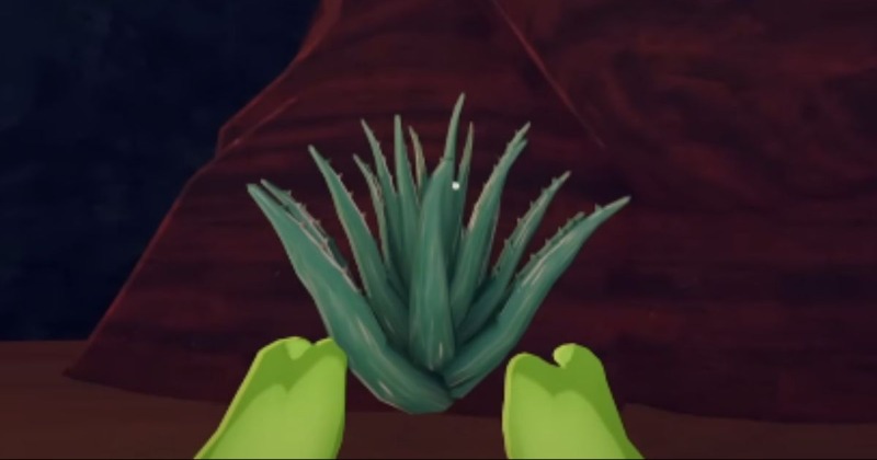 Peak Aloe Vera Guide : Where to find it and how to heal heat damage