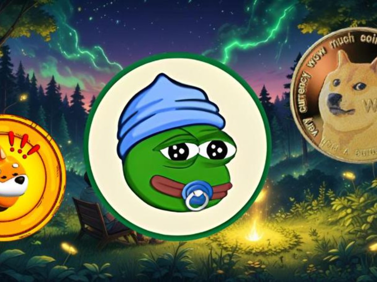 Dogecoin (DOGE) vs. Little Pepe (LILPEPE) vs. Bonk (BONK): Only one ...