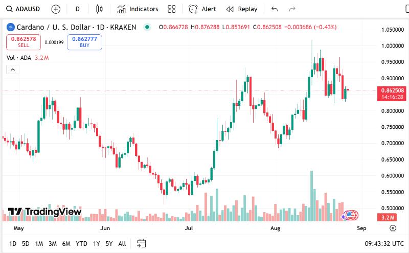 Best cryptocurrency to invest in is Remittix or Cardano as worldcoin ...