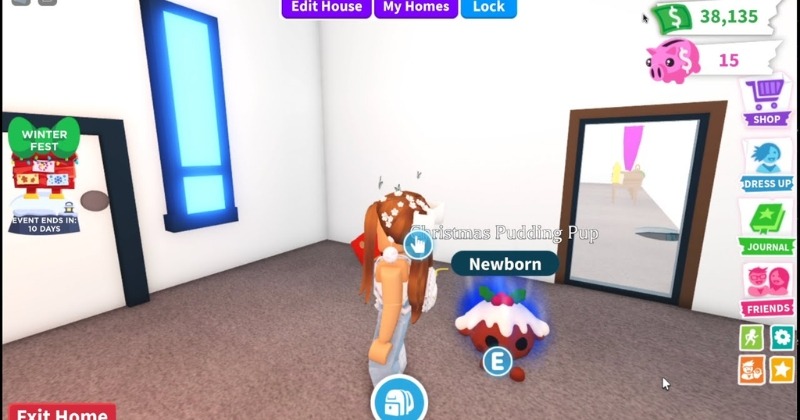 Adopt Me Christmas Pudding House Quest Guide: How to Get the Pudding Pup