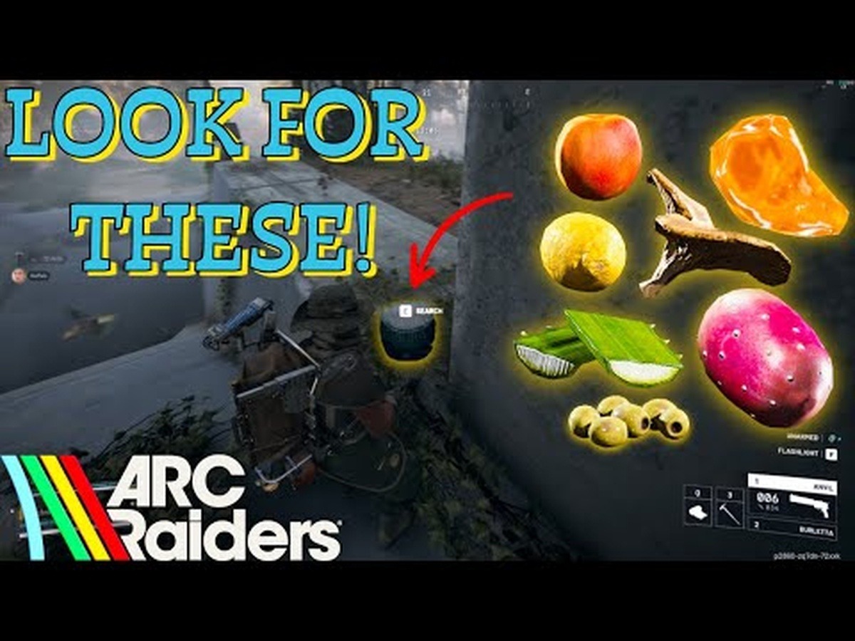 Arc Raiders: How to craft Fruit Mix for fast healing