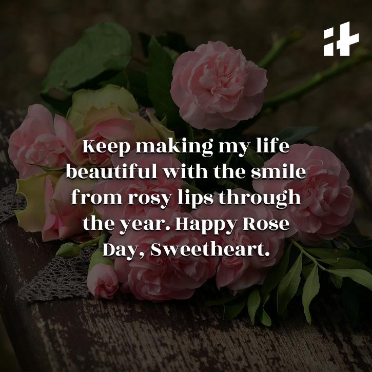 Rose And Smile Quotes Beauticity Of Her Smile Is Like A Rose...I Call
