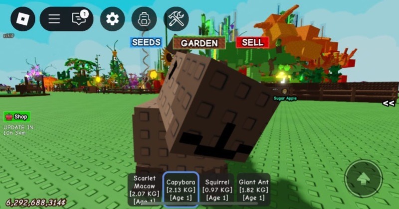 How to get the Capybara in Grow a Garden Roblox and boost pet XP with ...