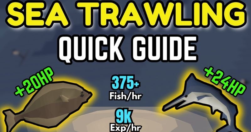 Sailing (OSRS): Complete Deep Sea Trawling Walkthrough for New Players