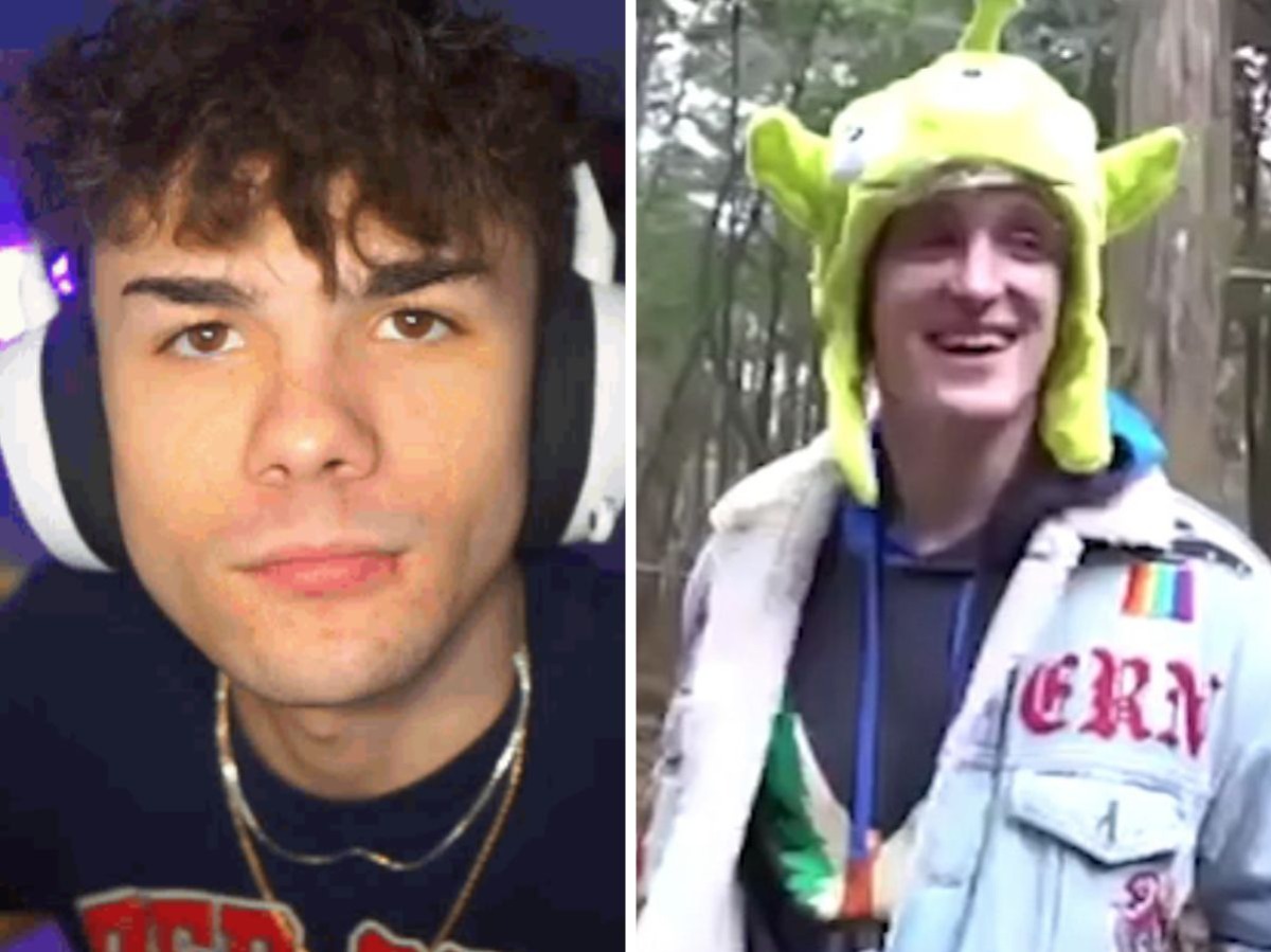 Cheesur calls out Logan Paul's as SteveWillDoIt gets removed from ...